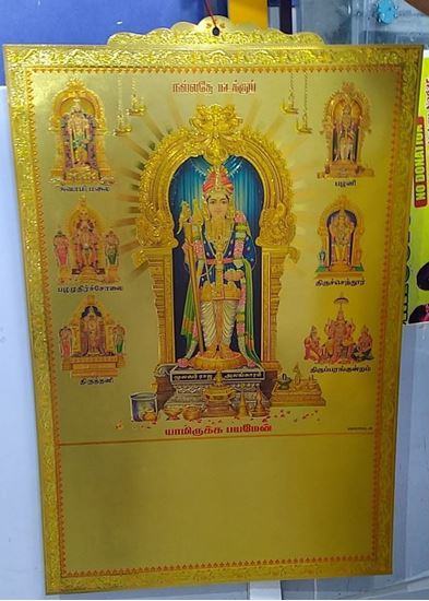 Gold Pet Foil Daily Calendar | Vivid Print India - Get Your Jazzy ...