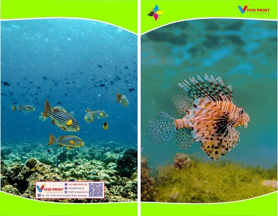 160 Pages Long Size Ruled Soft Cover Notebook | Vivid Print India - Get ...