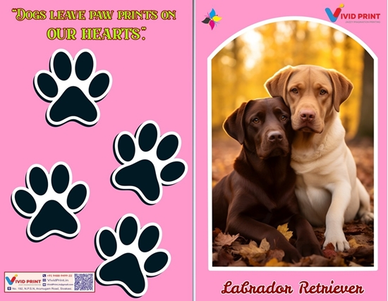 160 Pages Long Size Ruled Hard Cover Notebook | Vivid Print India - Get ...